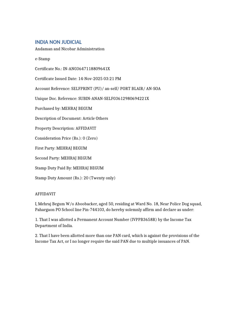India Non-Judicial Affidavit e-Stamp | PDF