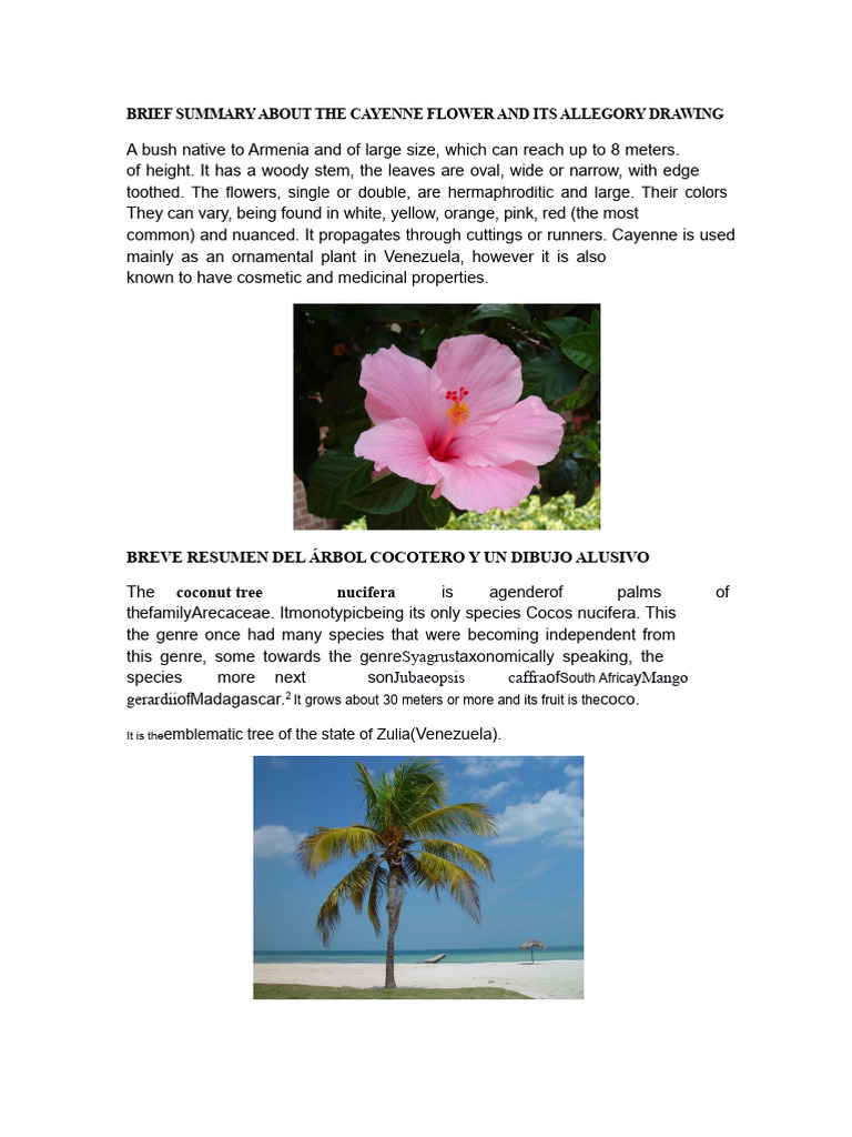 Cayenne Flower Overview and Allegory | PDF