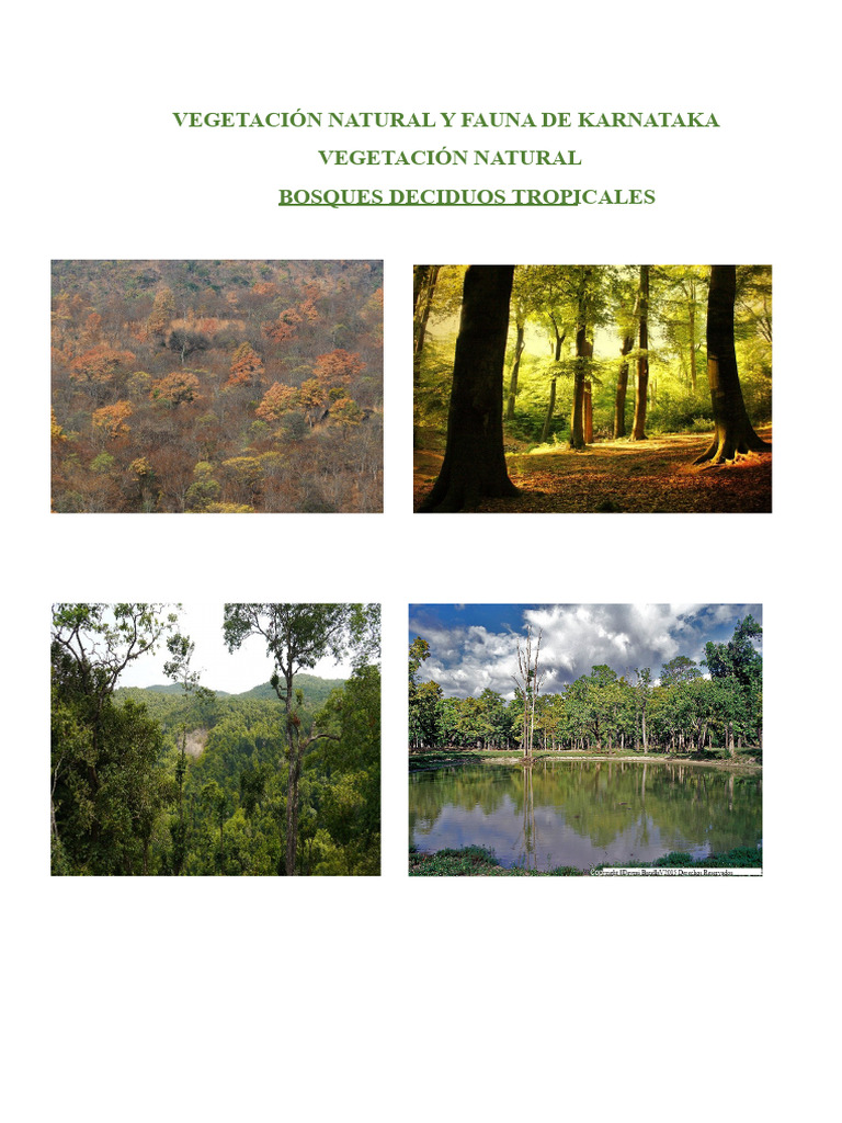 Vegetación Natural y Vida Silvestre de Karnataka | PDF | Zoología