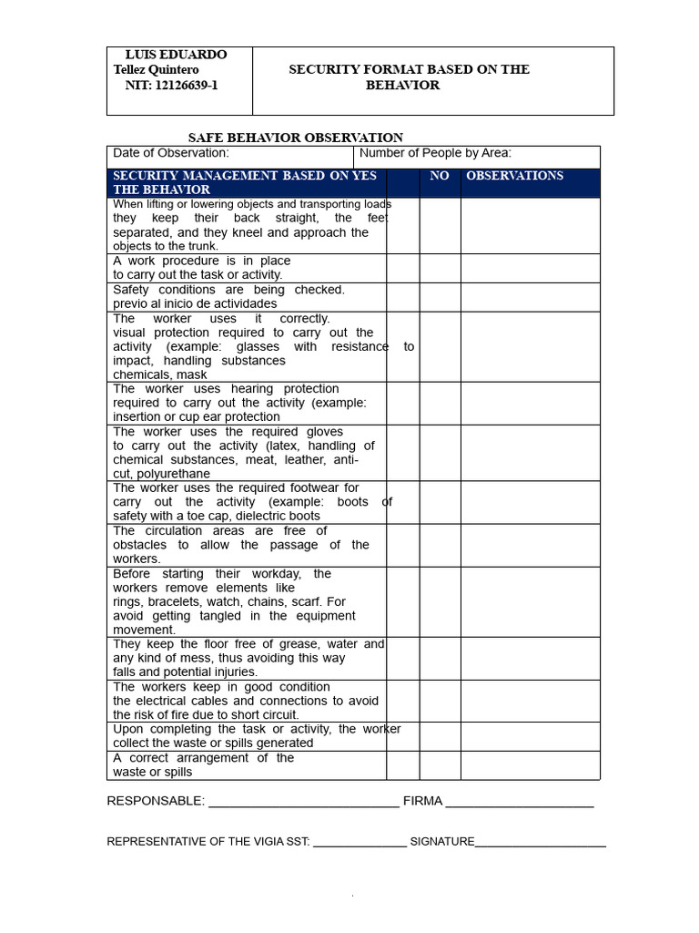4.1. Safe Behavior Observation Format | PDF