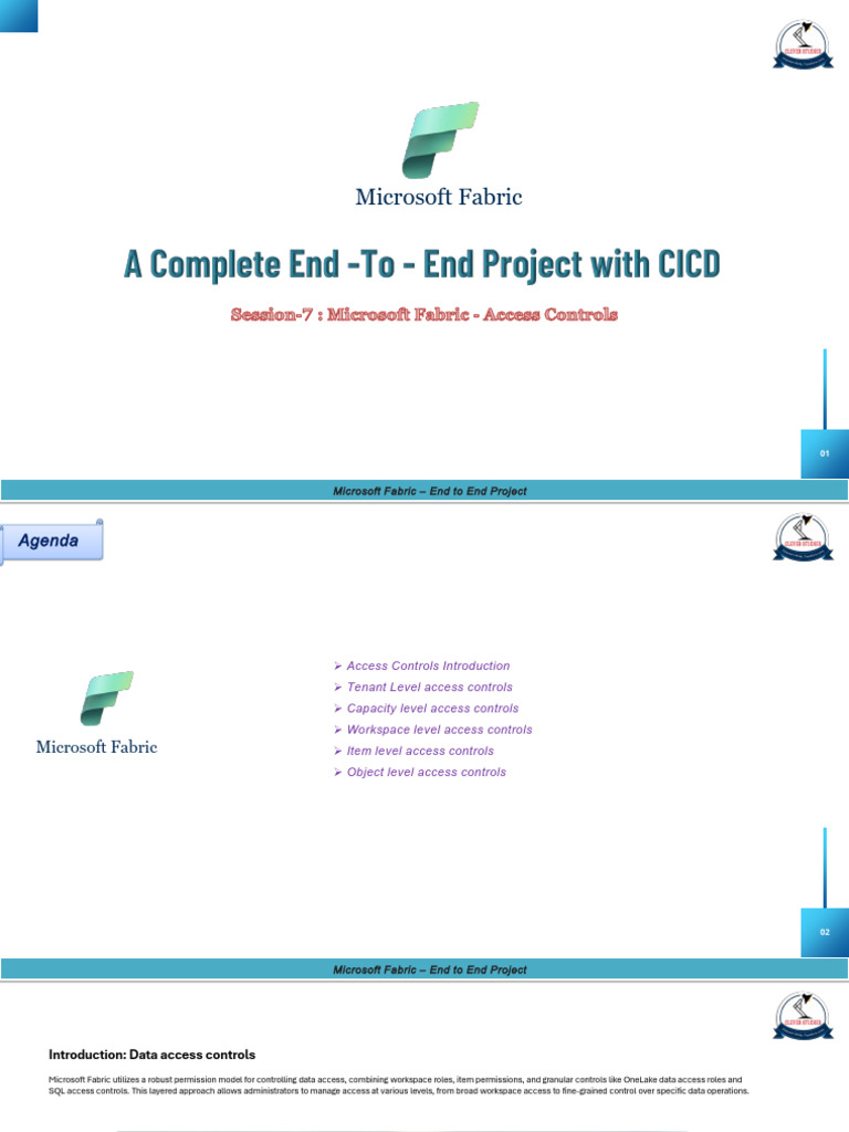 Microsoft Fabric Access Control Guide | PDF | Software | Computing