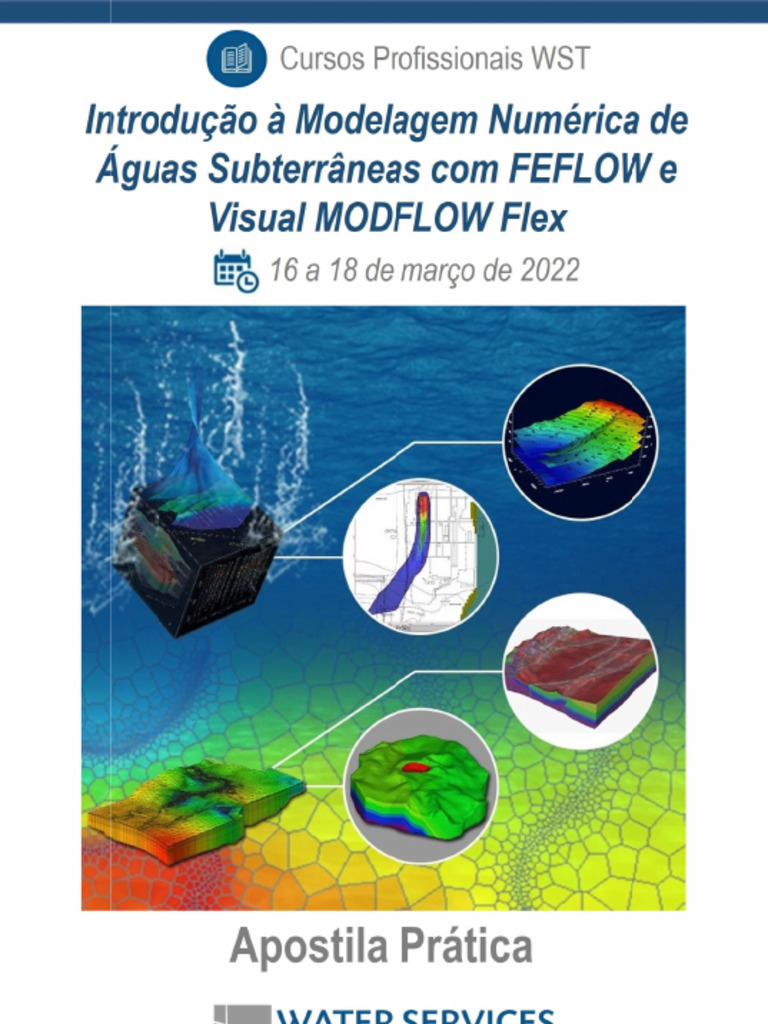 Apostila_Feflow_modflow | PDF | Finite Element Method | Button (Computing)