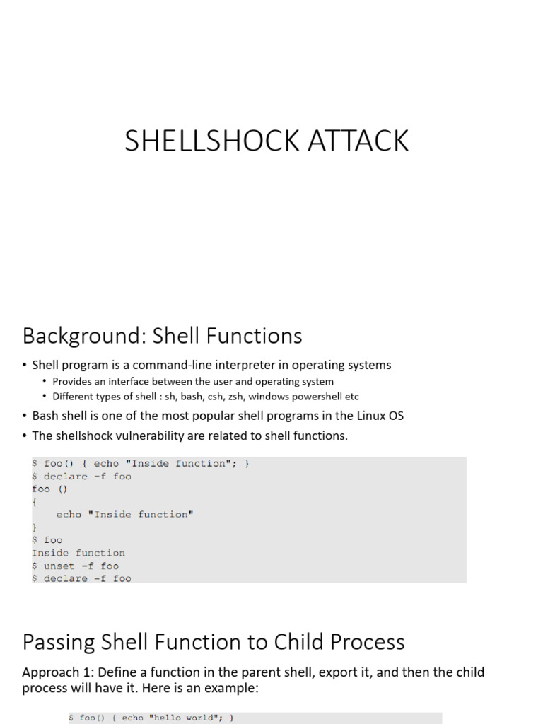 3 Shellshock | PDF | System Software | Computing