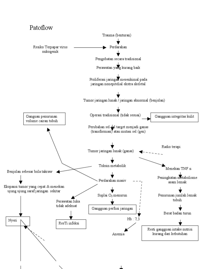 Patoflow Soft Tissue Tumor | PDF