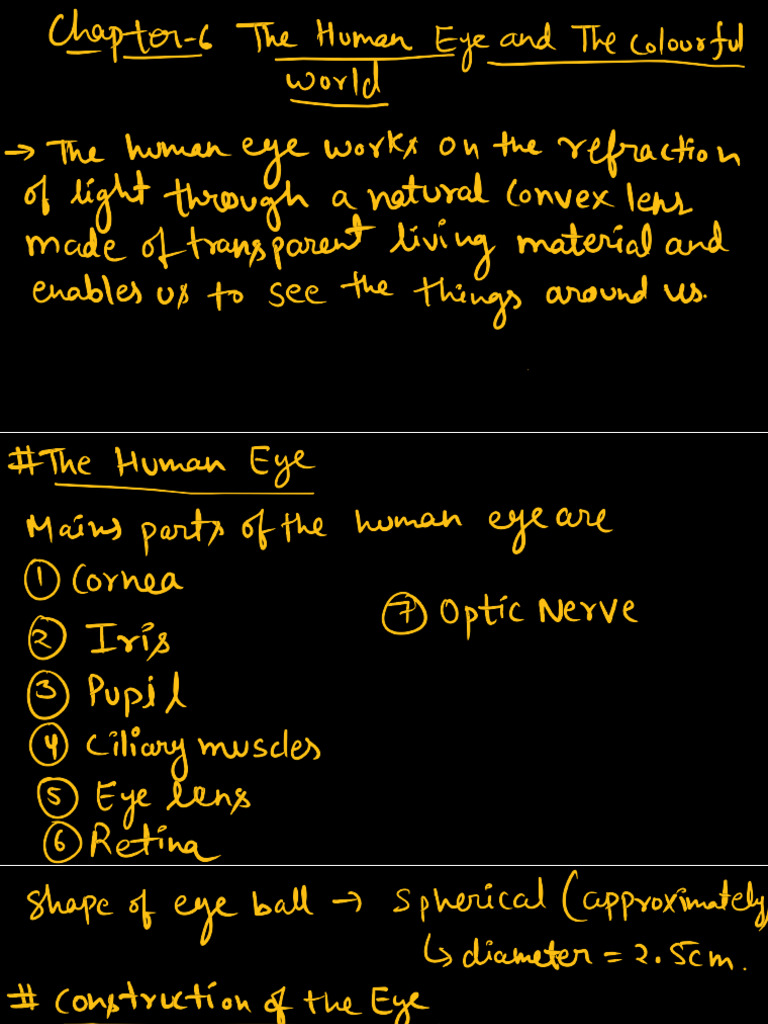 Human Eye | PDF