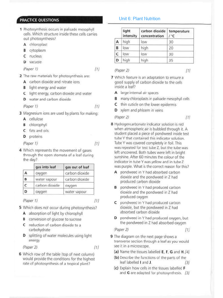 06-Plant Nutrition Worksheet | PDF