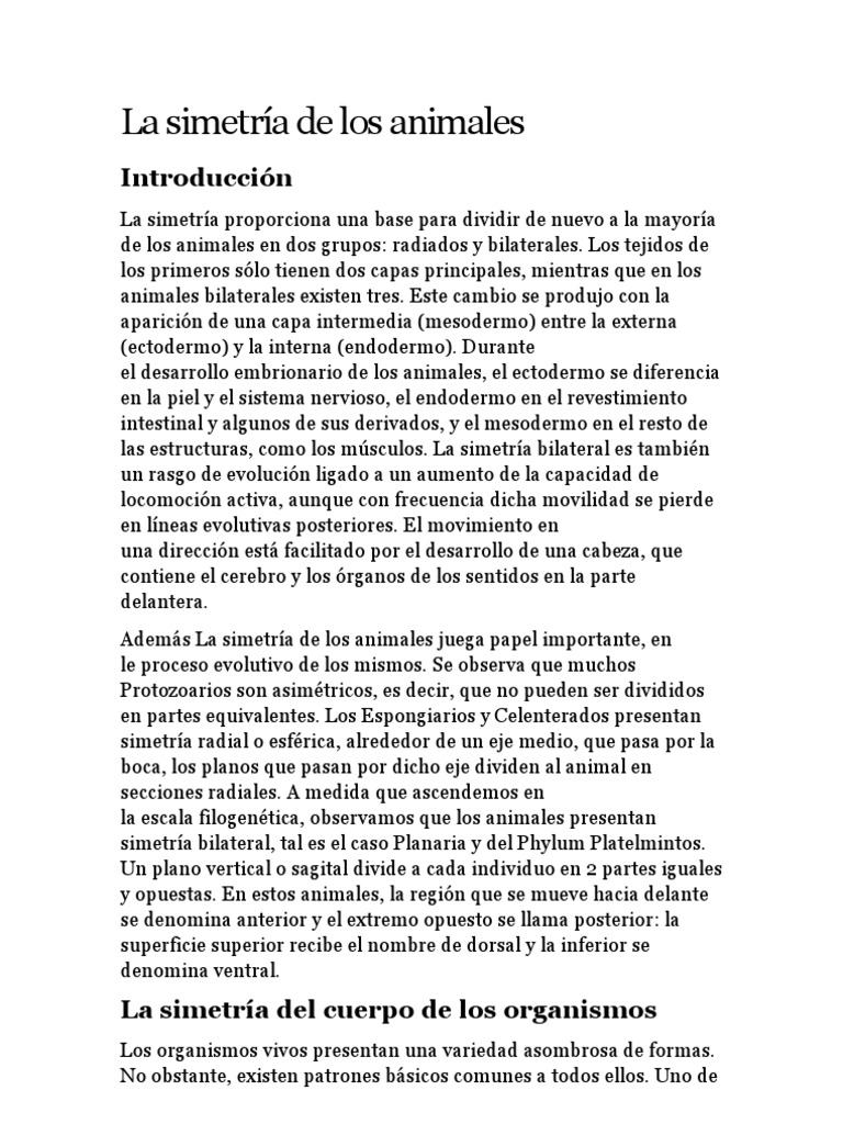 Metamerismo en la Simetría Animal | PDF | Términos anatómicos de ...
