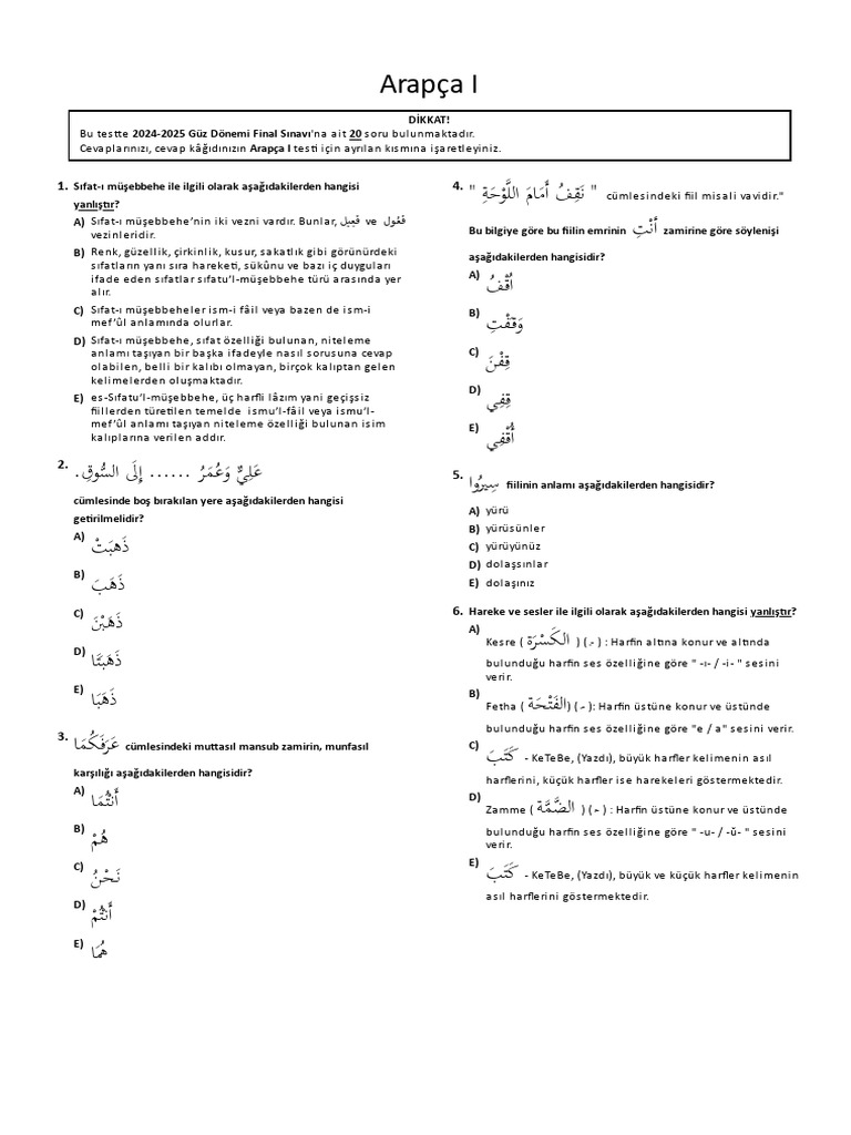 2024-2025 Güz Dönemi Final Sınavı | PDF