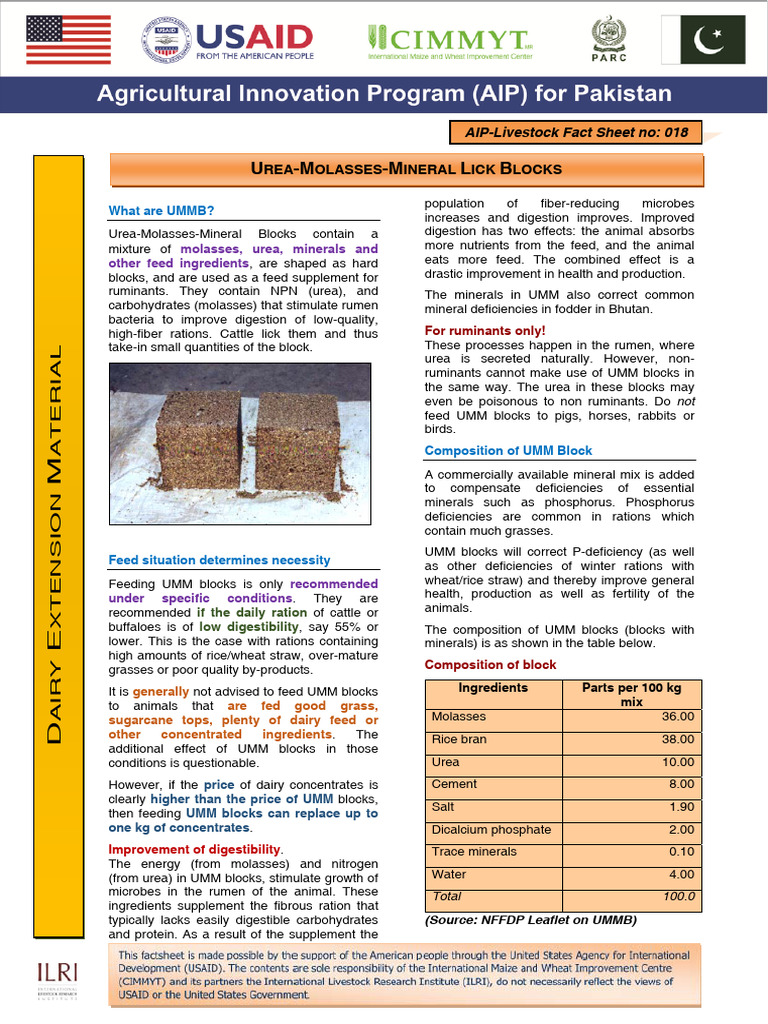 Urea-Molasses-Mineral Blocks for Ruminants | PDF | Ruminant | Digestion