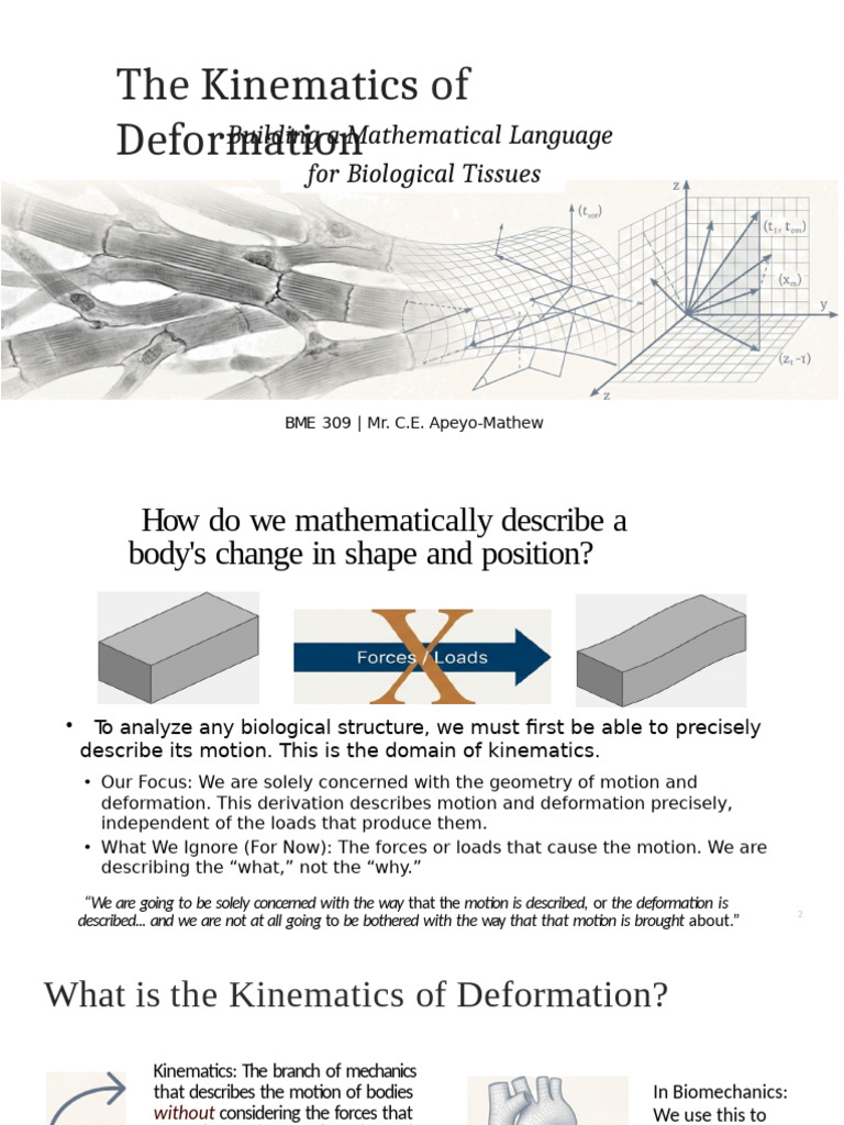 Kinematics of Deformation | PDF | Mechanics | Physics