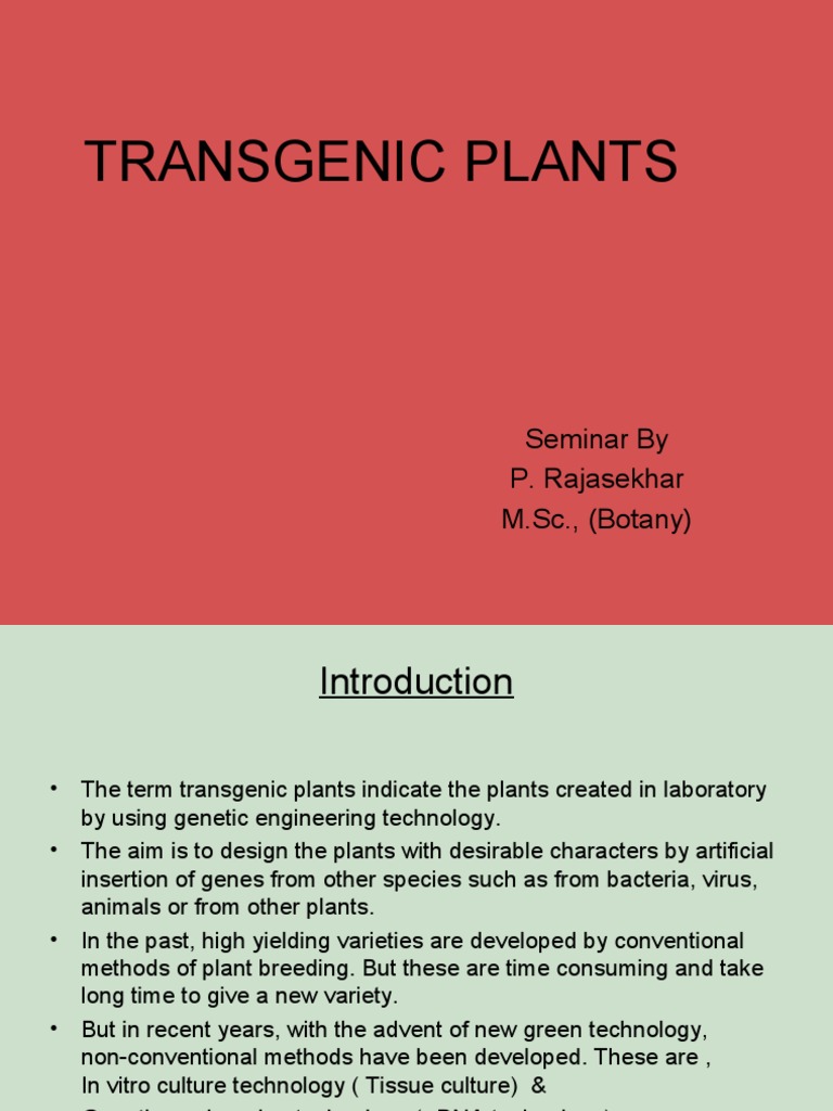 Transgenic Plants: Innovations and Impacts | PDF | Genetically Modified ...