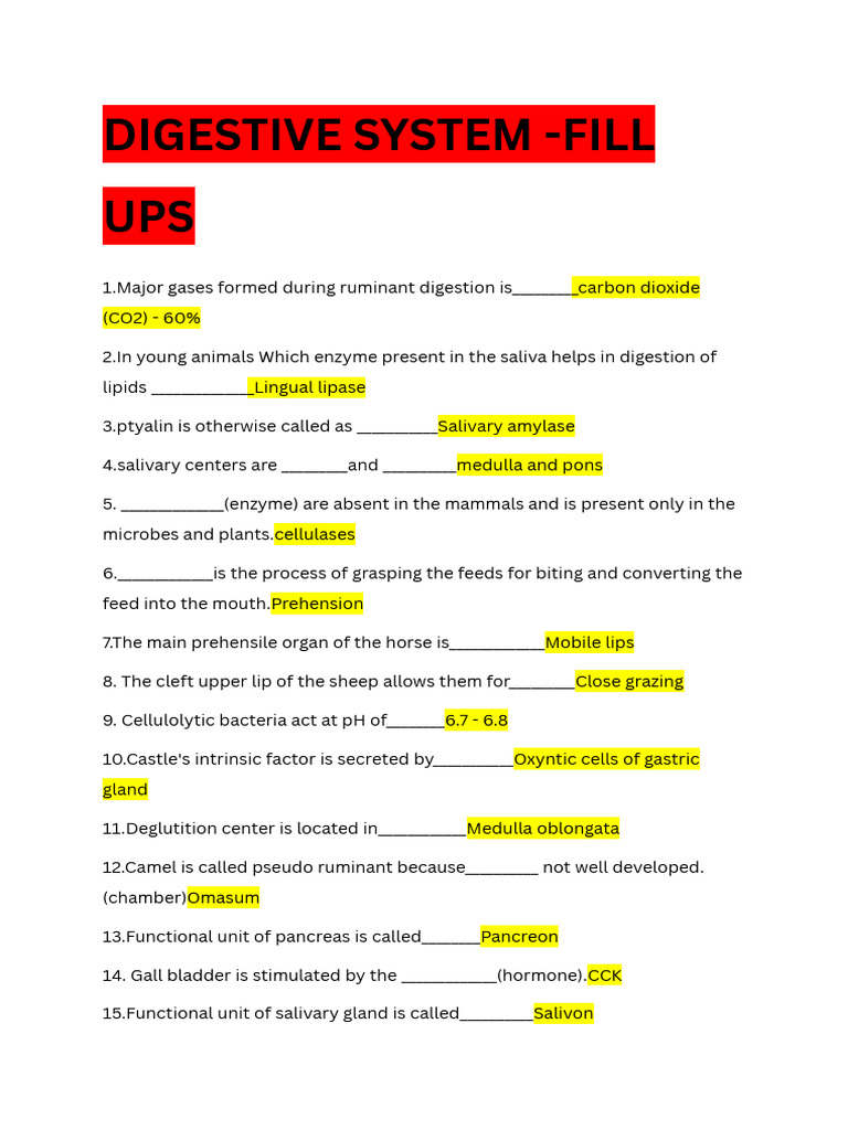 Ruminant Digestive System Overview | PDF | Digestion | Gastrointestinal ...