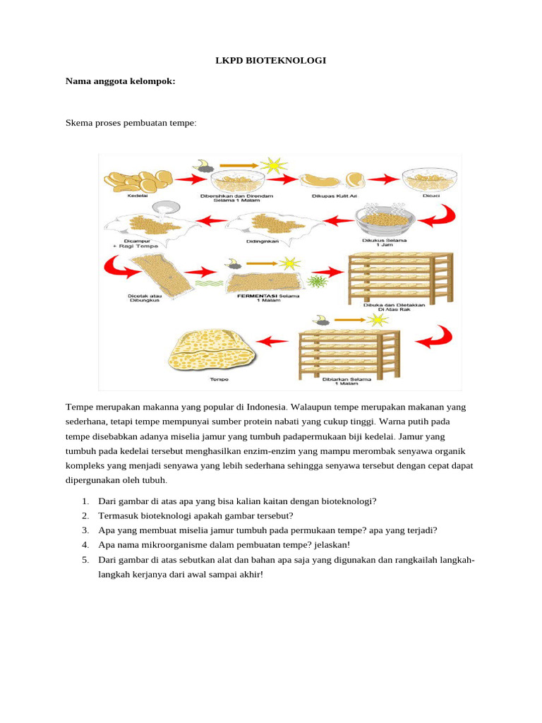 Proses Pembuatan Tempe, Nata, dan Tape | PDF