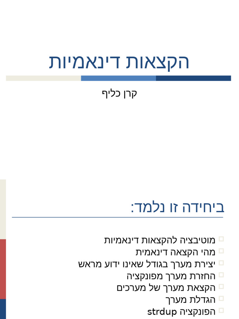 13 - Dynamic Allocations | PDF