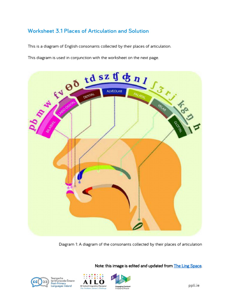 3.1 Place of Articulation Worksheet and Solution | PDF | Phonetics ...