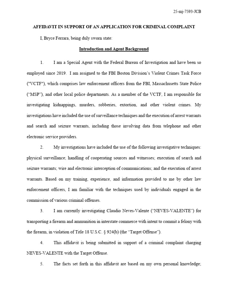 Claudio Manuel Neves Valente FBI Affidavit | PDF | American Government ...