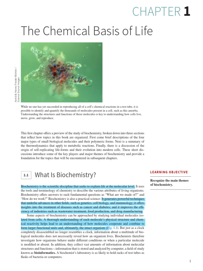 Chemical Basis of Life | PDF | Biomolecules | Amino Acid
