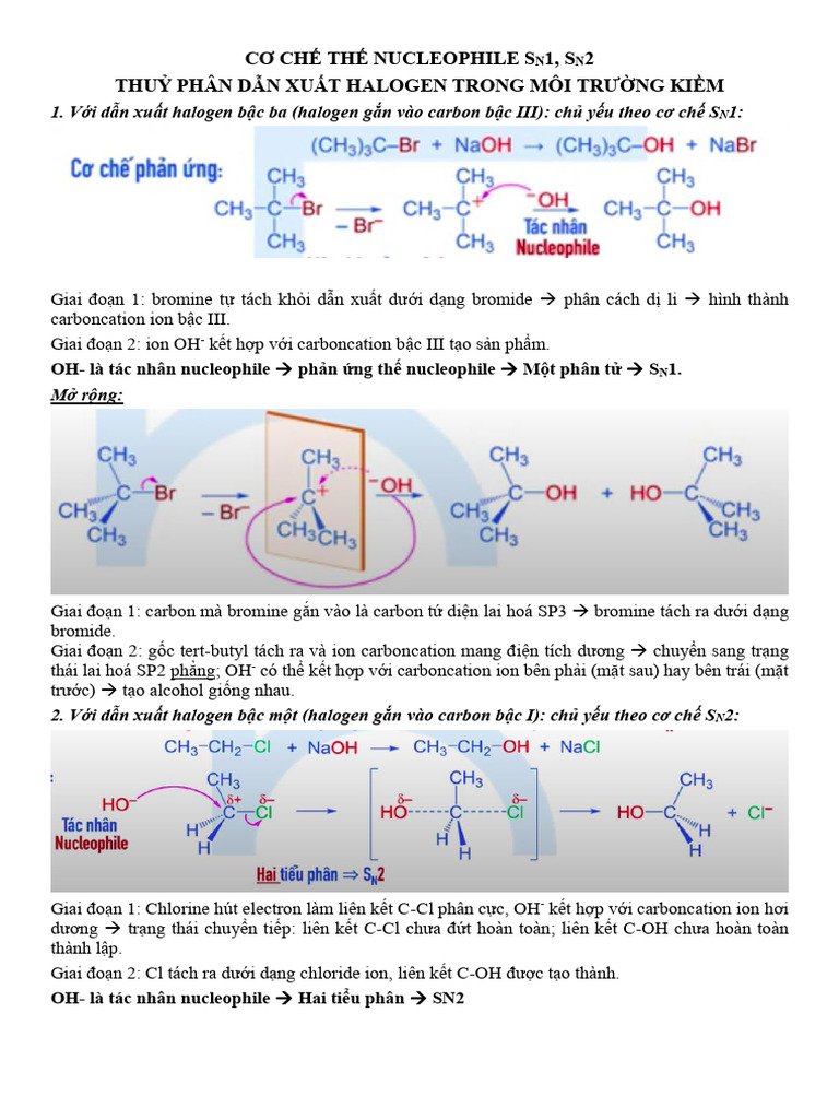 CƠ CHẾ THẾ NUCLEOPHILE SN1 SN2 | PDF