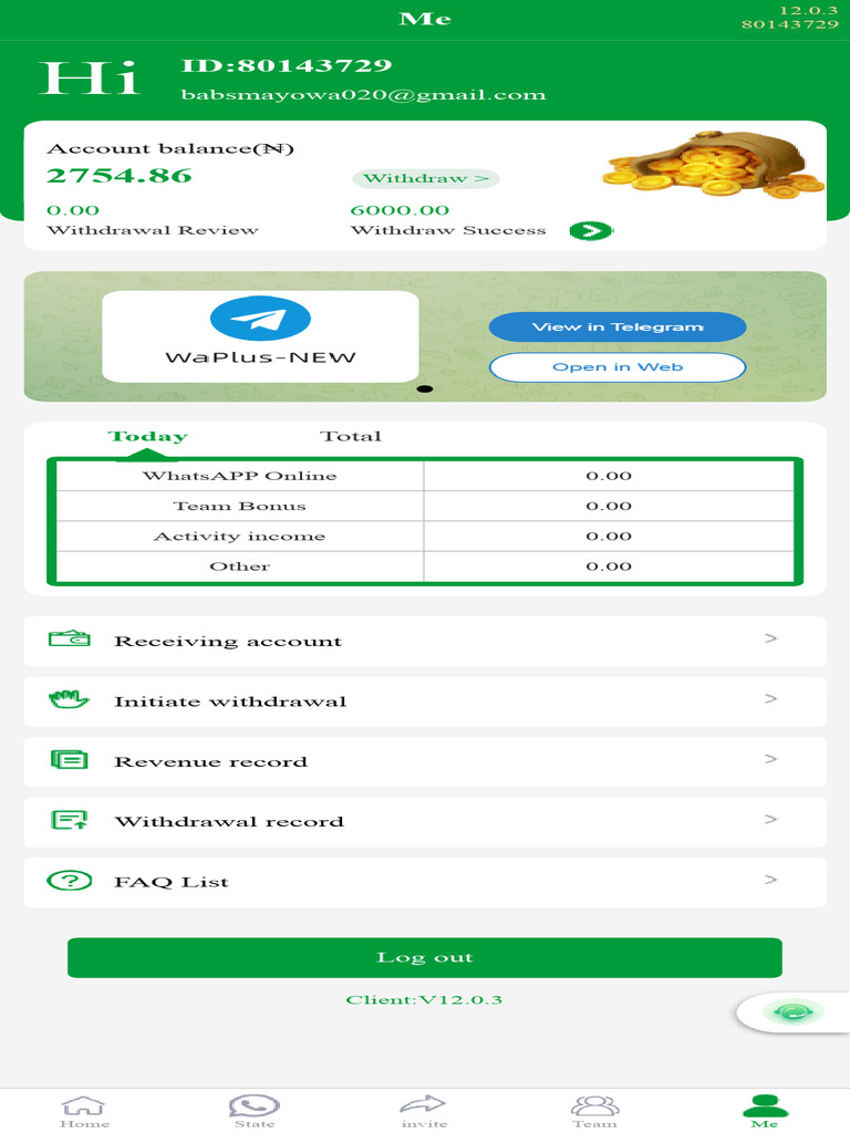 Account Overview and Withdrawal Details | PDF
