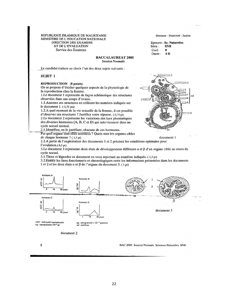 Bac D SN 2005 SN | PDF