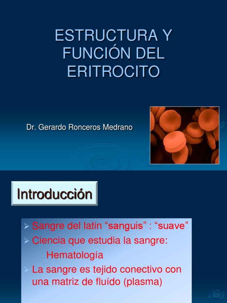 Sintesis de Hemoglobina | Sangre | Glóbulo rojo