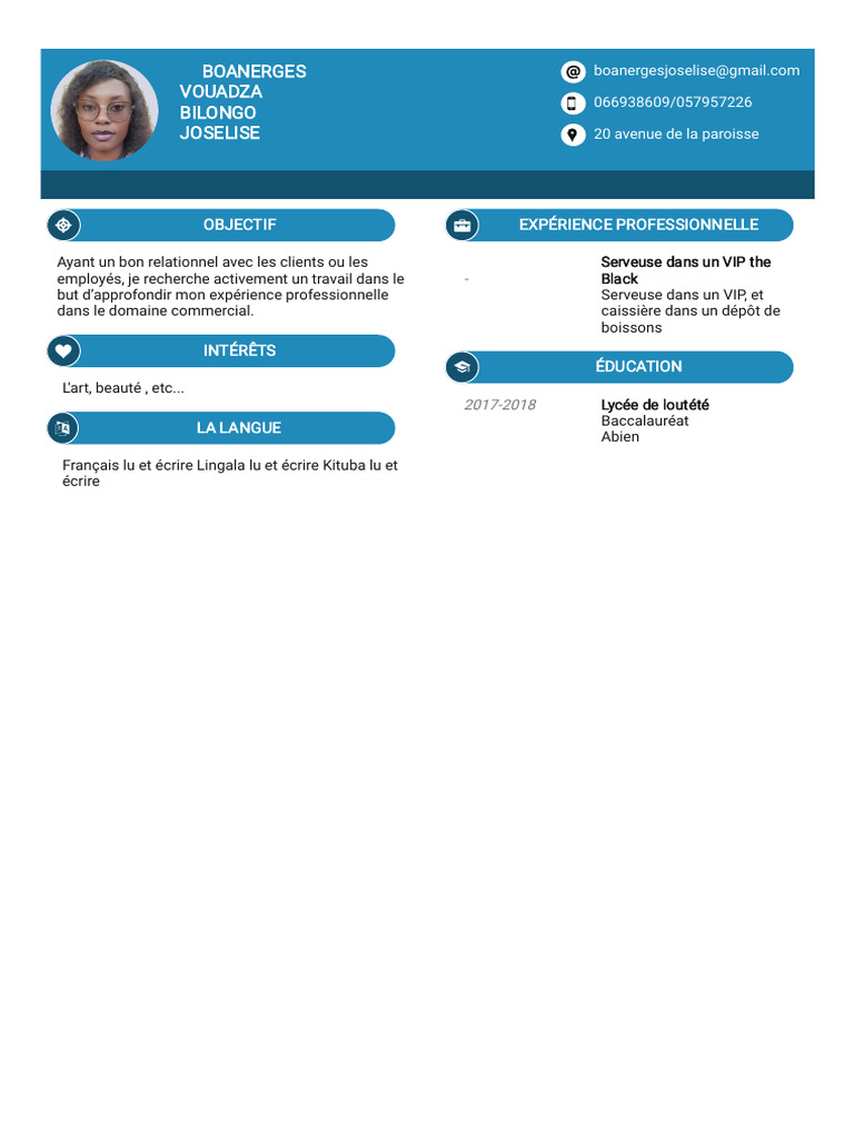 CV de Boanerges Vouadza : Expérience Commerciale | PDF
