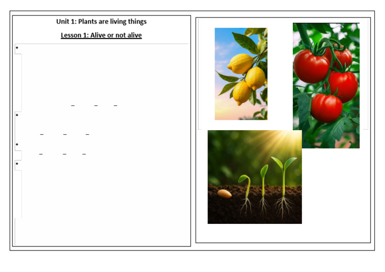 Grade 3 Science 1 | PDF