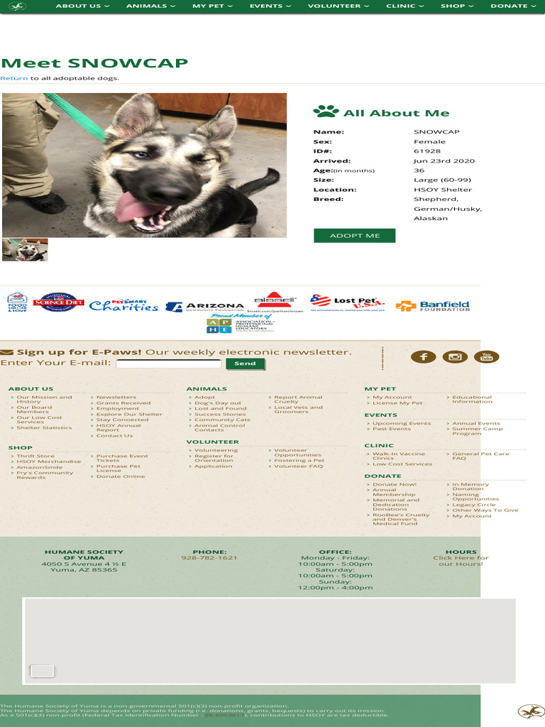 Lost Dogs at The Shelter - Humane Society of Yuma - Animal Shelter ...