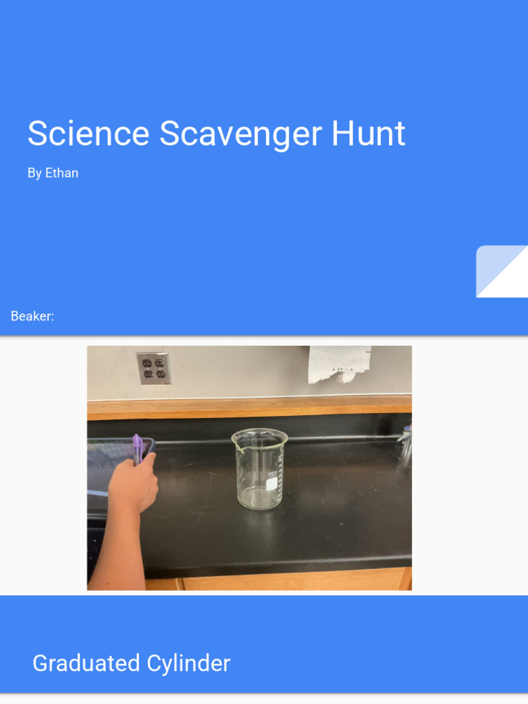 Science Scavenger Hunt | PDF
