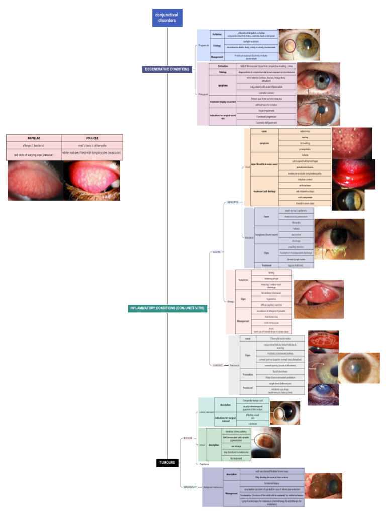 Conjunctival Disorders Overview | PDF