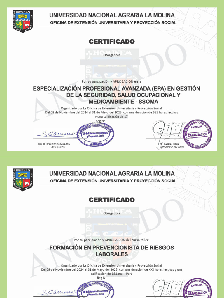 Certificado EPA SSOMA, Prevensionista y SST + ISO45001 | PDF
