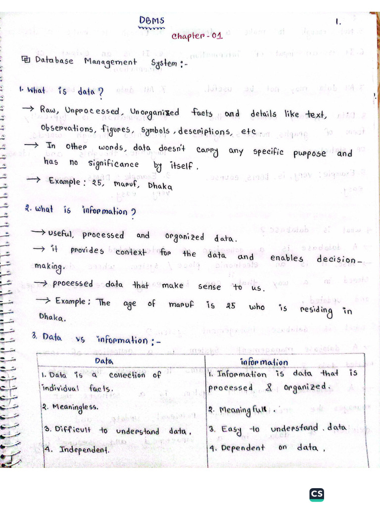 DBMS Chapter 1 | PDF