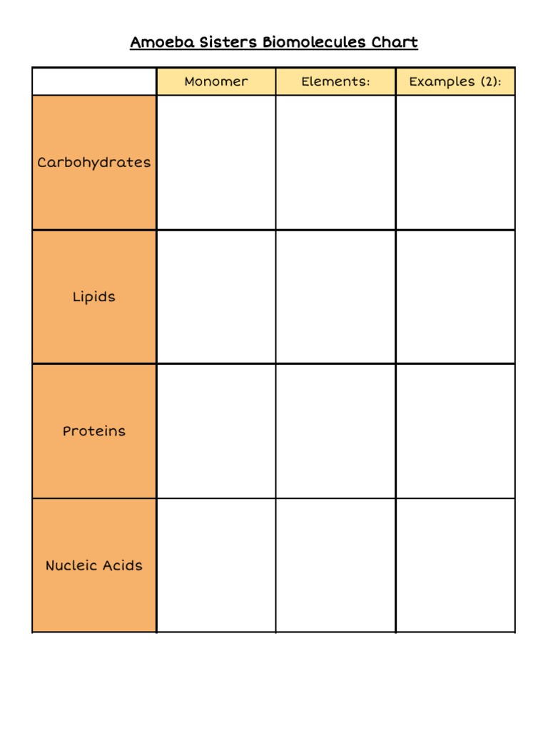 Amoeba Sisters Biomolecules Chart | PDF