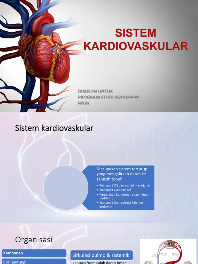 Struktur dan Fungsi Sistem Kardiovaskular | PDF