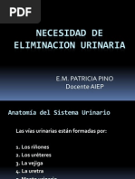 GUÍA de PROCEDIMIENTOS Control de La Diuresis | PDF | Vejiga urinaria ...
