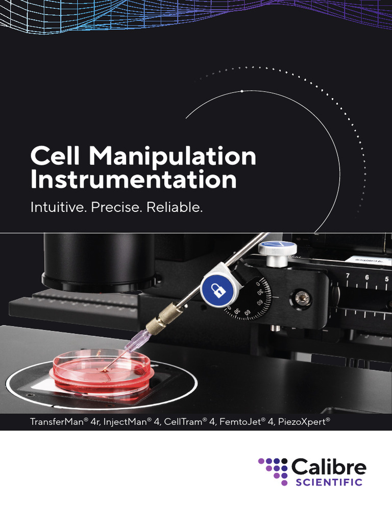 CS CMI CompletePortfolioResearch A4 Universal | PDF | Embryo | Biology