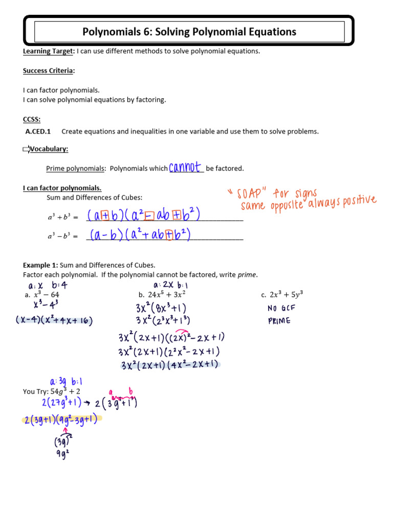 Polynomials 6 Filled Notes | PDF | Polynomial | Factorization