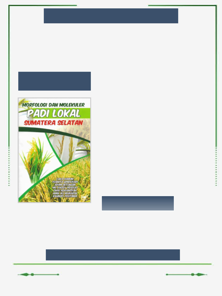 Morfologi Padi Lokal Sumatera Selatan | PDF