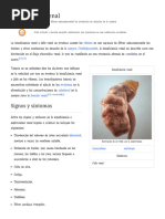 Fármacos Nefrotóxicos y su Manejo | PDF | Tratamientos médicos | Medicina