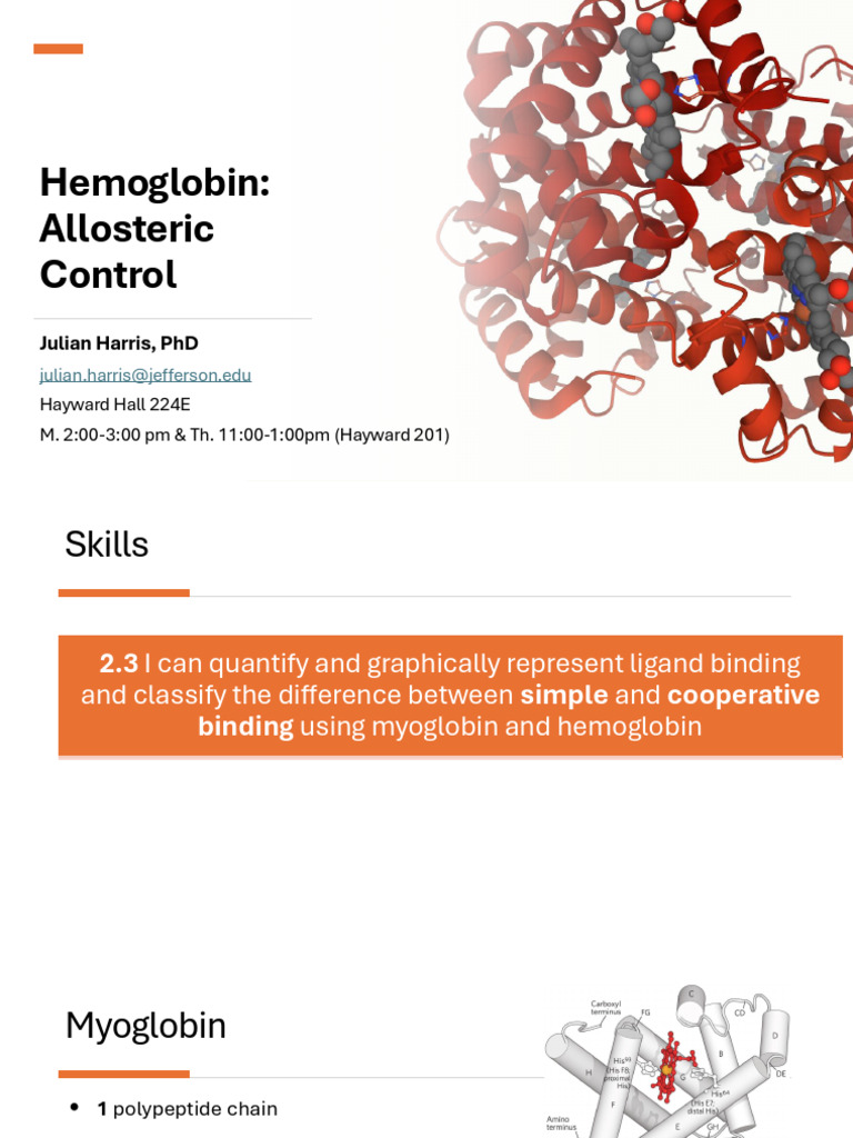 _Hemoglobin_Allosteric_Control | PDF | Hemoglobin | Ligand (Biochemistry)