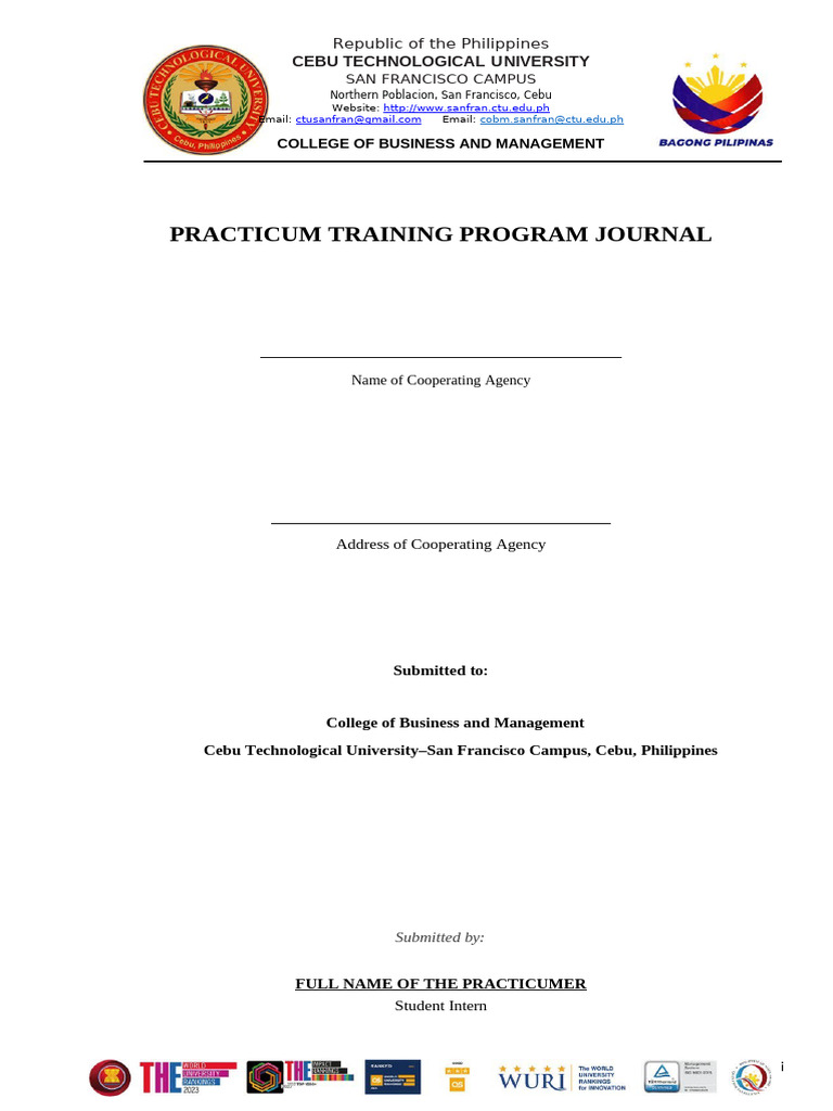 Practicum Training Program Journal | PDF
