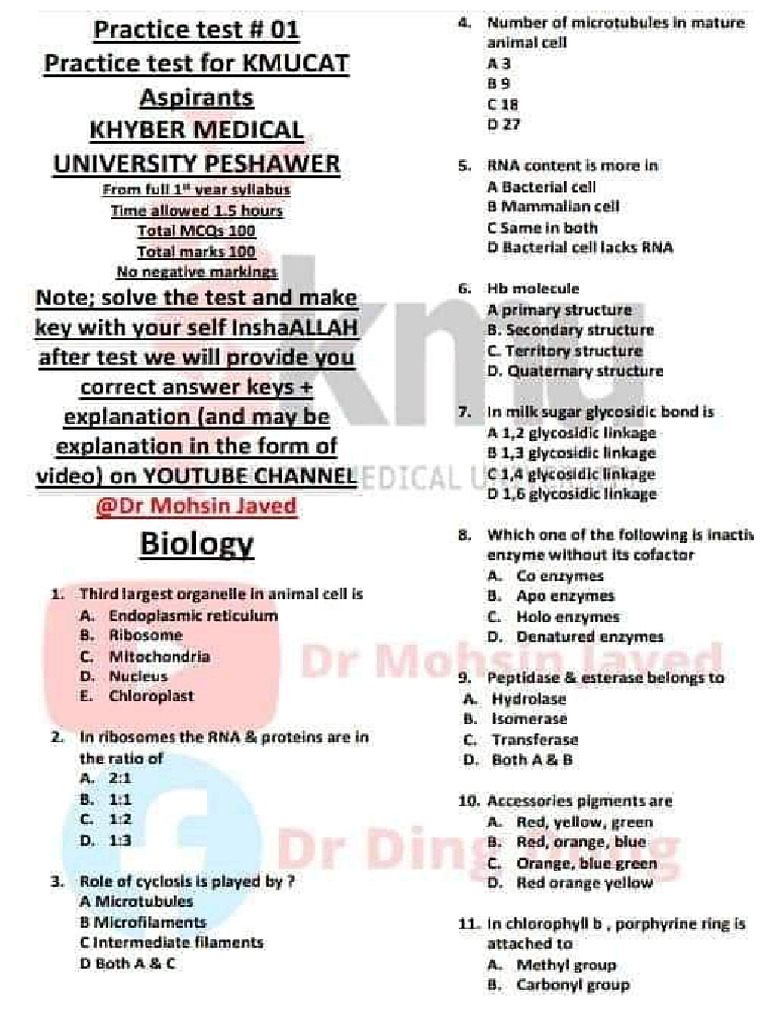 KMU Cat Practice Test Mcqs by Rashid Jan | PDF