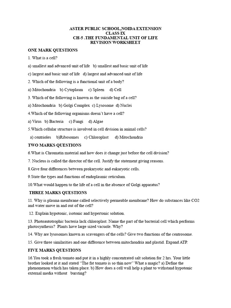 Class IX Cell Biology Revision Worksheet | PDF | Cell (Biology) | Cell ...