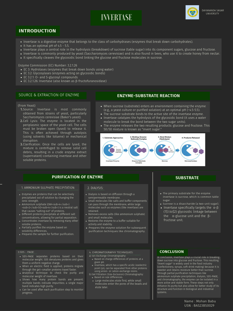Portrait University Research Poster in Blue Pink Playful and Illust ...