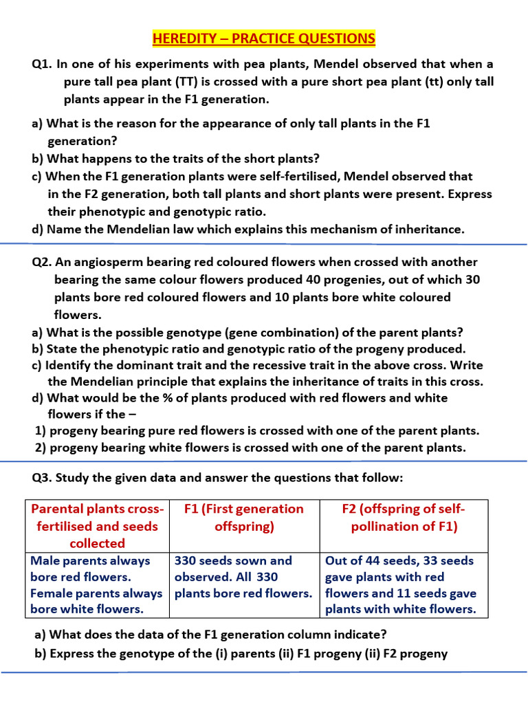 Heredity Practice Questions Guide | PDF | Genotype | Dominance (Genetics)