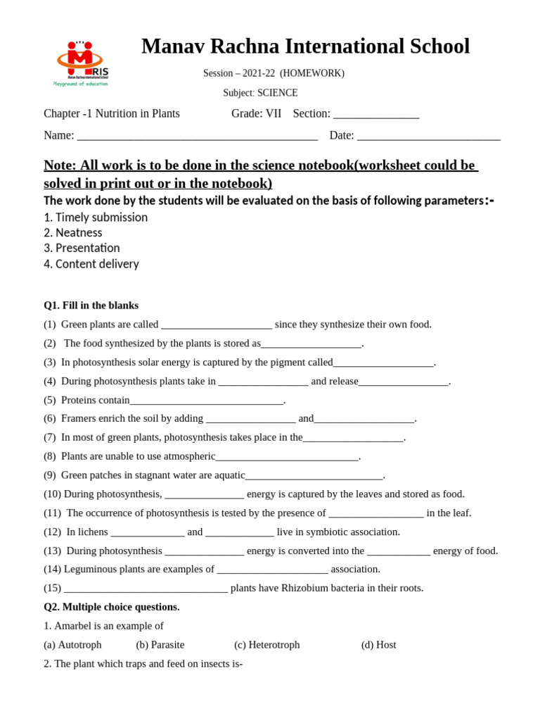 Grade 7 science holiday homework | PDF | Plants | Photosynthesis