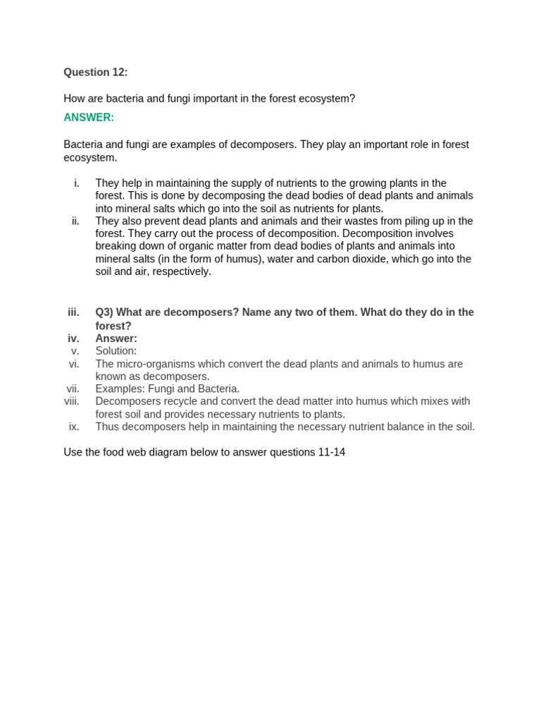 Science Worksheet - 02 Micro Organisms | PDF