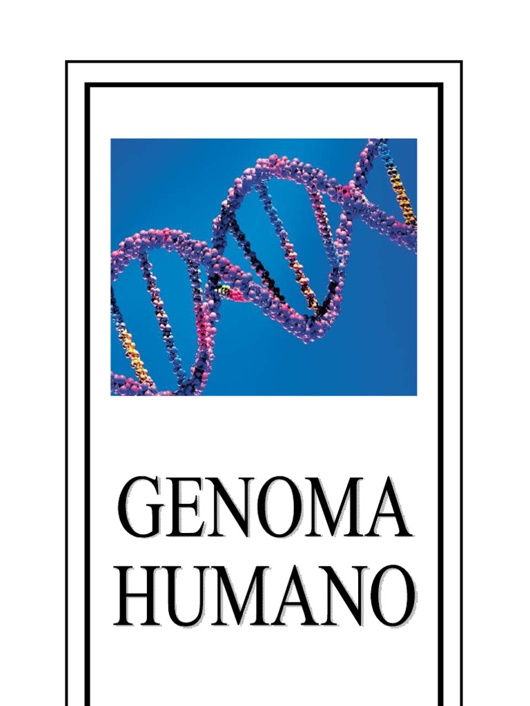 Genoma Humano | PDF | Genoma humano | Gene