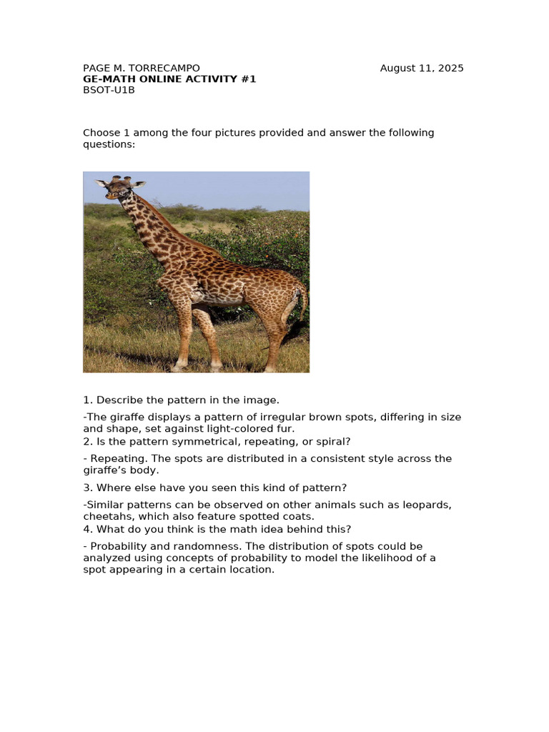 Torrecampo Page | PDF