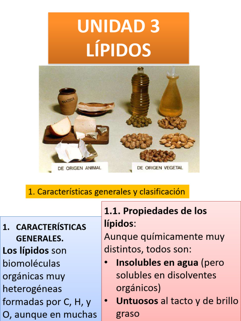 Características y funciones de los lípidos | PDF | Lípido | Ácido graso